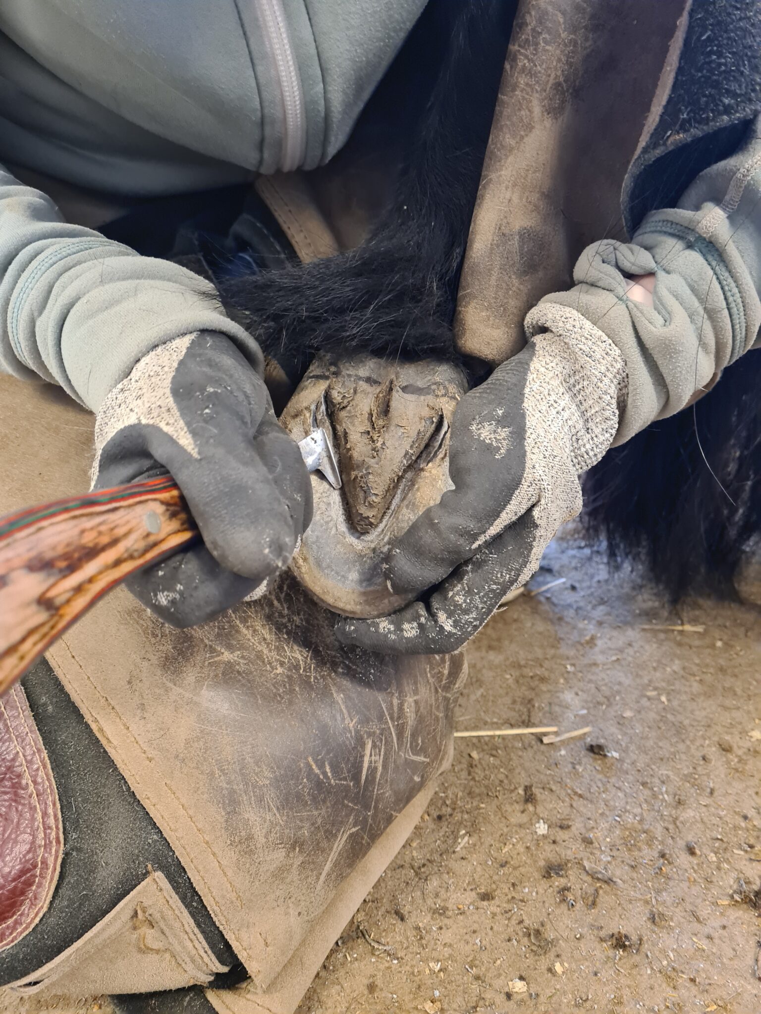 Hoof courses – On Bare Hooves